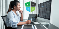 QSpiders | Empowering IT & Software Careers with Comprehensive Courses
